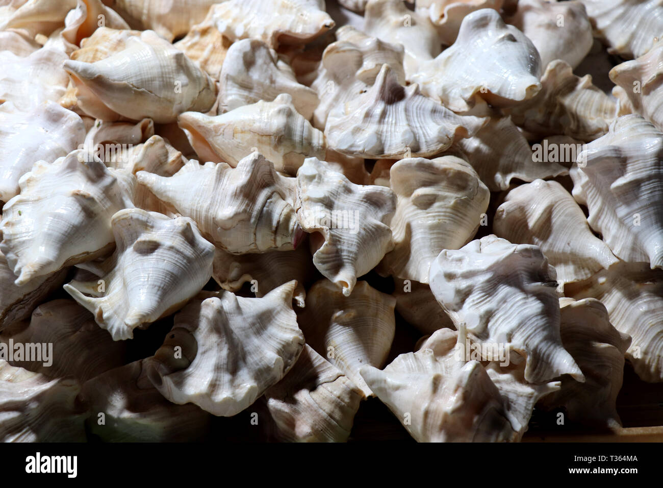 Odisha coastline hi-res stock photography and images - Alamy