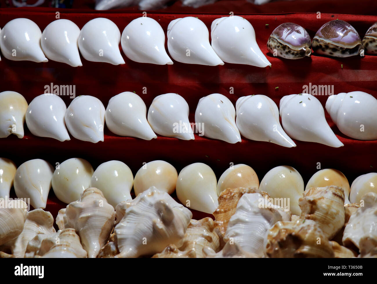 Odisha coastline hi-res stock photography and images - Alamy