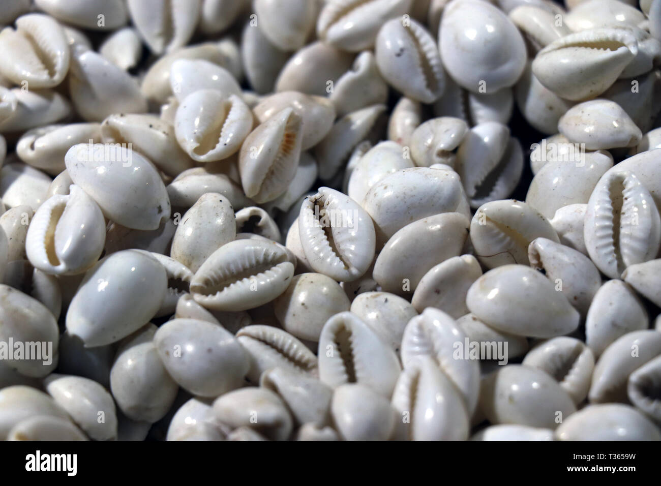 Odisha coastline hi-res stock photography and images - Alamy