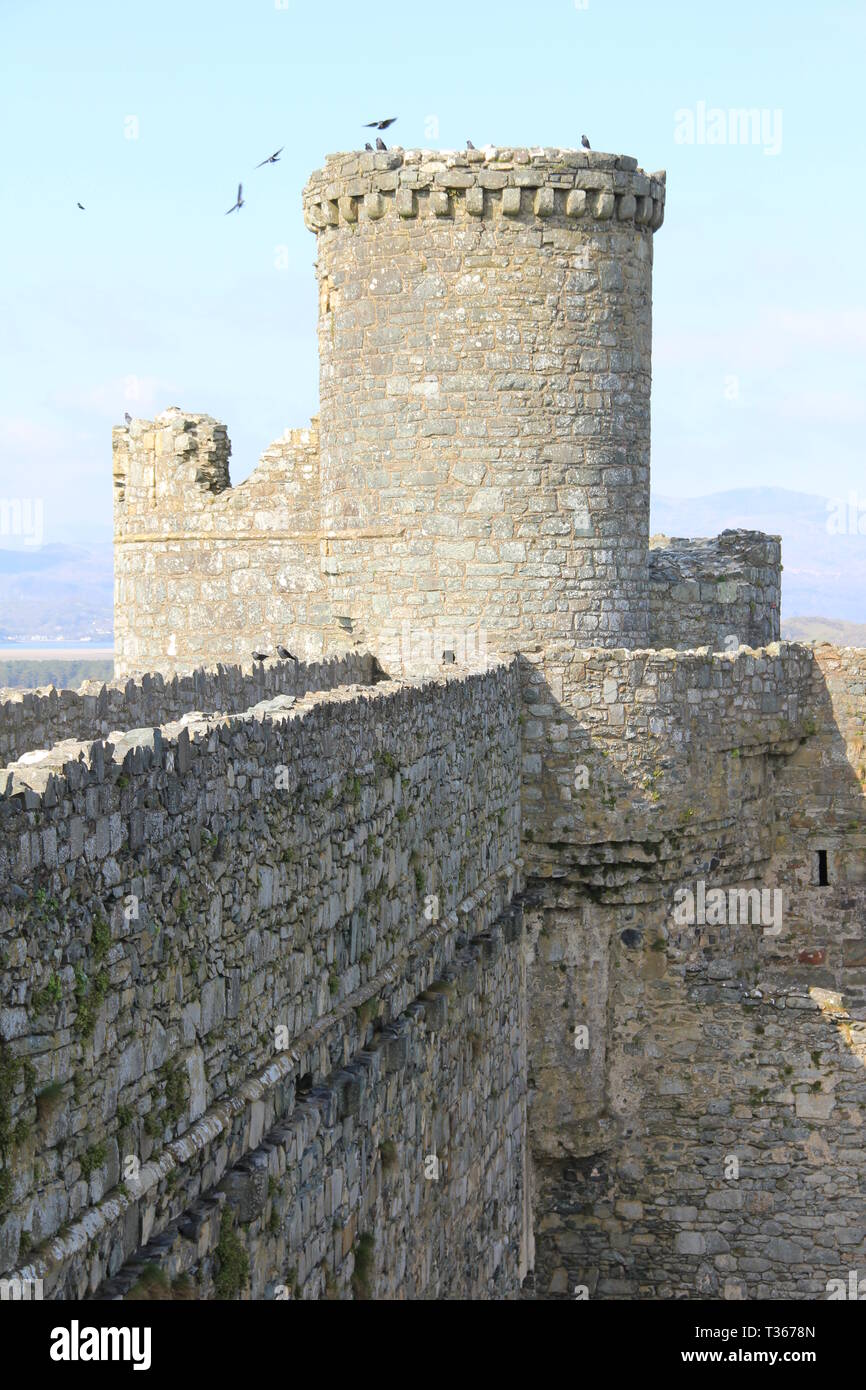 Harlech dome hi-res stock photography and images - Alamy