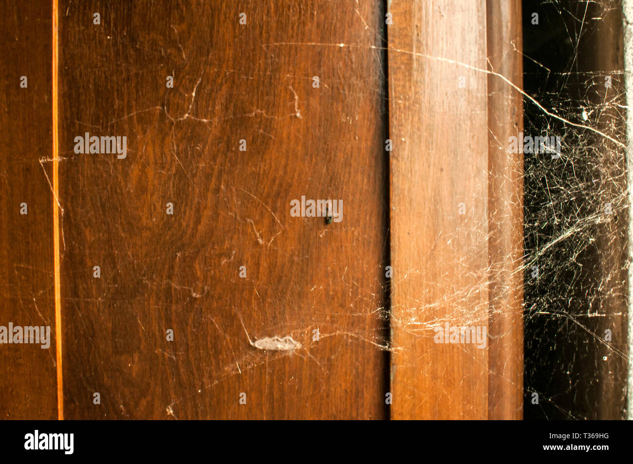 Detail of neglected retro vintage wooden wardrobe with old spider web ...