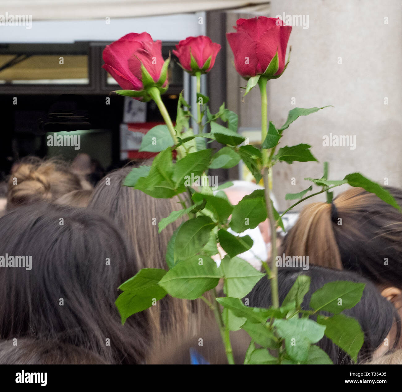 Long Line Of Fans Waiting For An Autograph Stock Photo Alamy long-line-of-fans-waiting-for-an-autograph-stock-photo-alamy