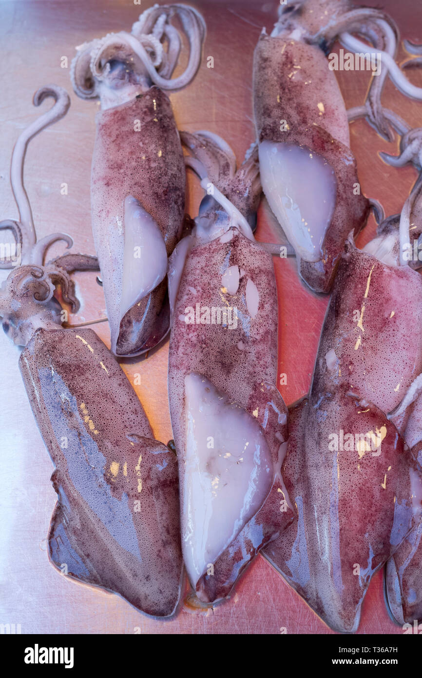 Calamari seafood on display for sale on market stall at old street ...