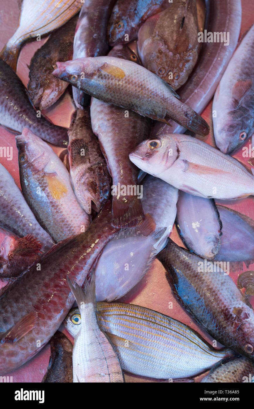 Sicilian Fish High Resolution Stock Photography and Images - Alamy