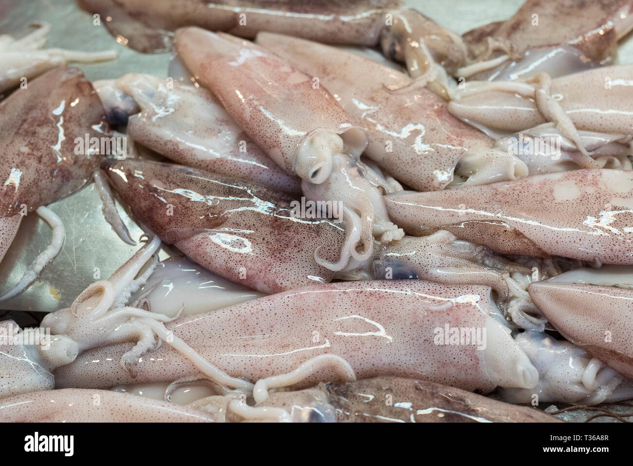 Calamari seafood hi-res stock photography and images - Alamy