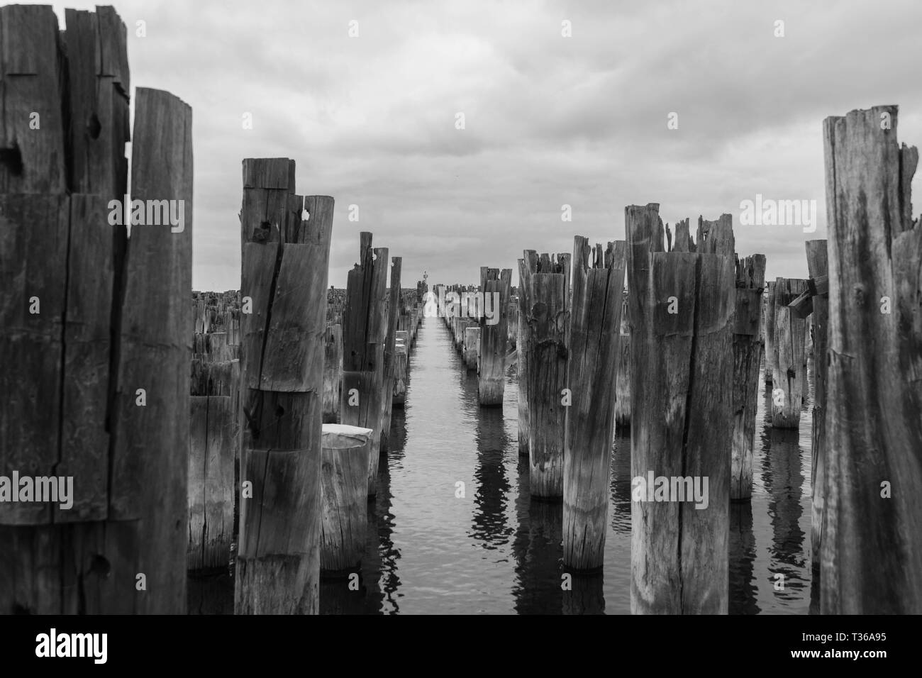 Old pier pylons in black and white Stock Photo - Alamy