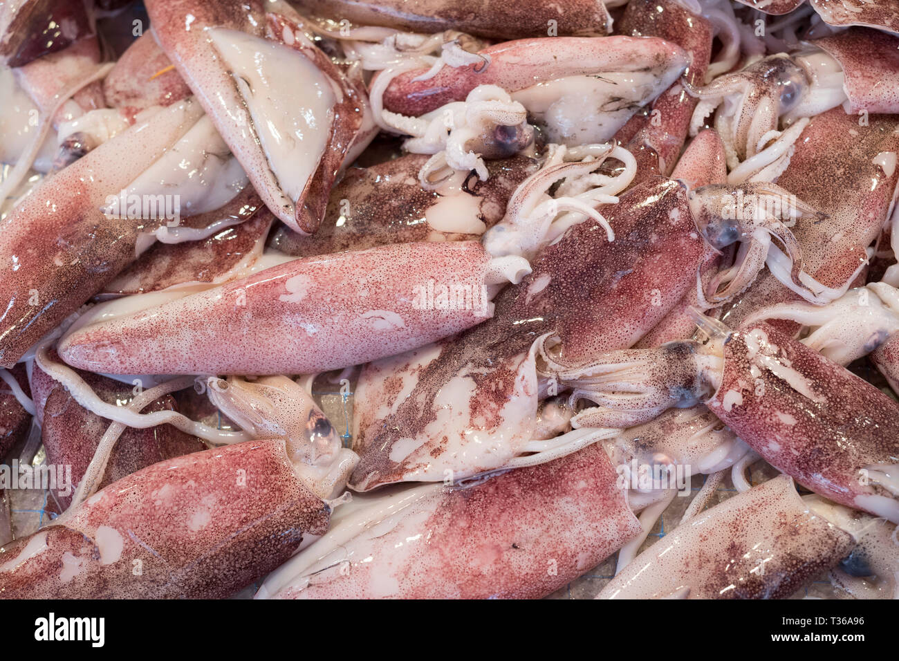 Calamari seafood on display for sale on market stall at old street ...