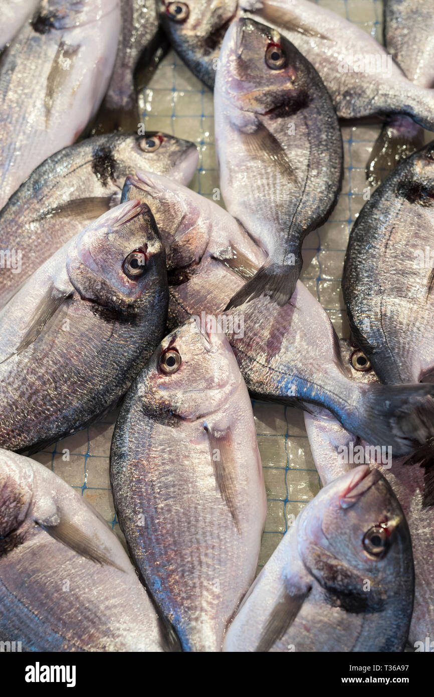 Daurade hi-res stock photography and images - Alamy