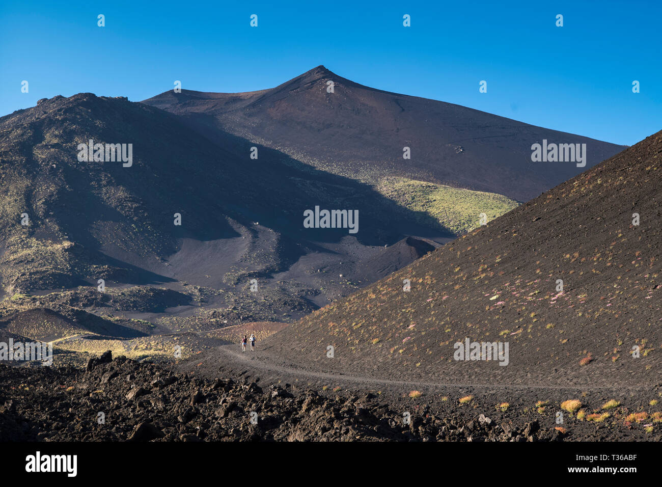 Tourists walking on Lava field caused by volcanic eruption of Mount ...