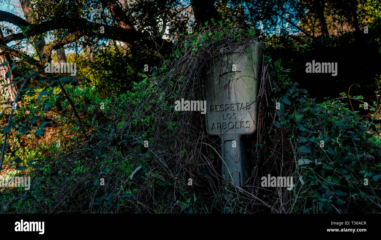 Respect the trees Stock Photo - Alamy