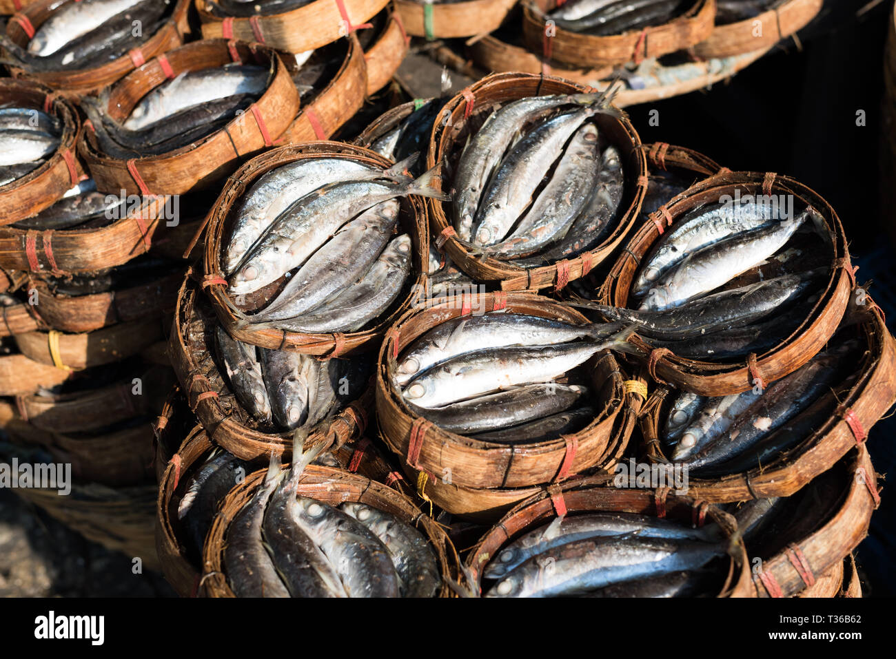 dried fish at the traditional market in Bangkok, Thailand Stock Photo ...