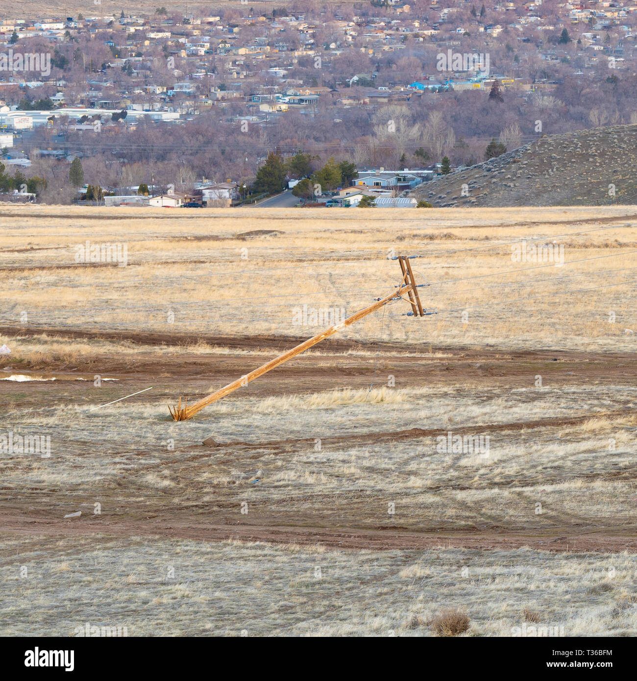Damaged wood utility pole hi-res stock photography and images - Alamy