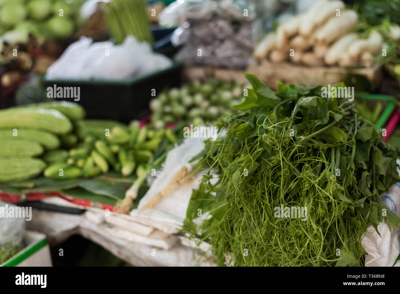 bangkok local traditional market at Thailand Stock Photo - Alamy