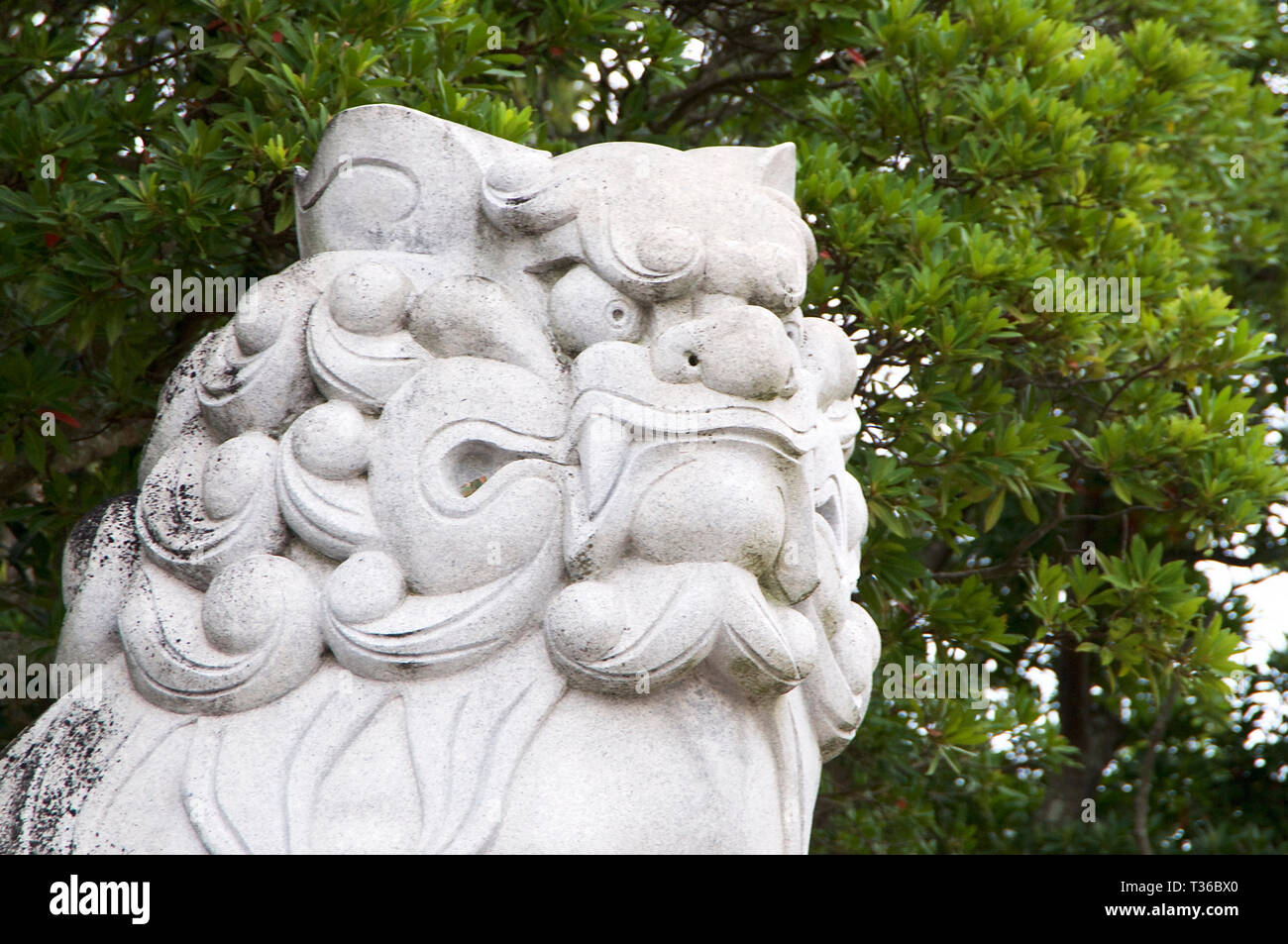 Close up picture of the head of a huge Komainu (dog-lion like guardian ...