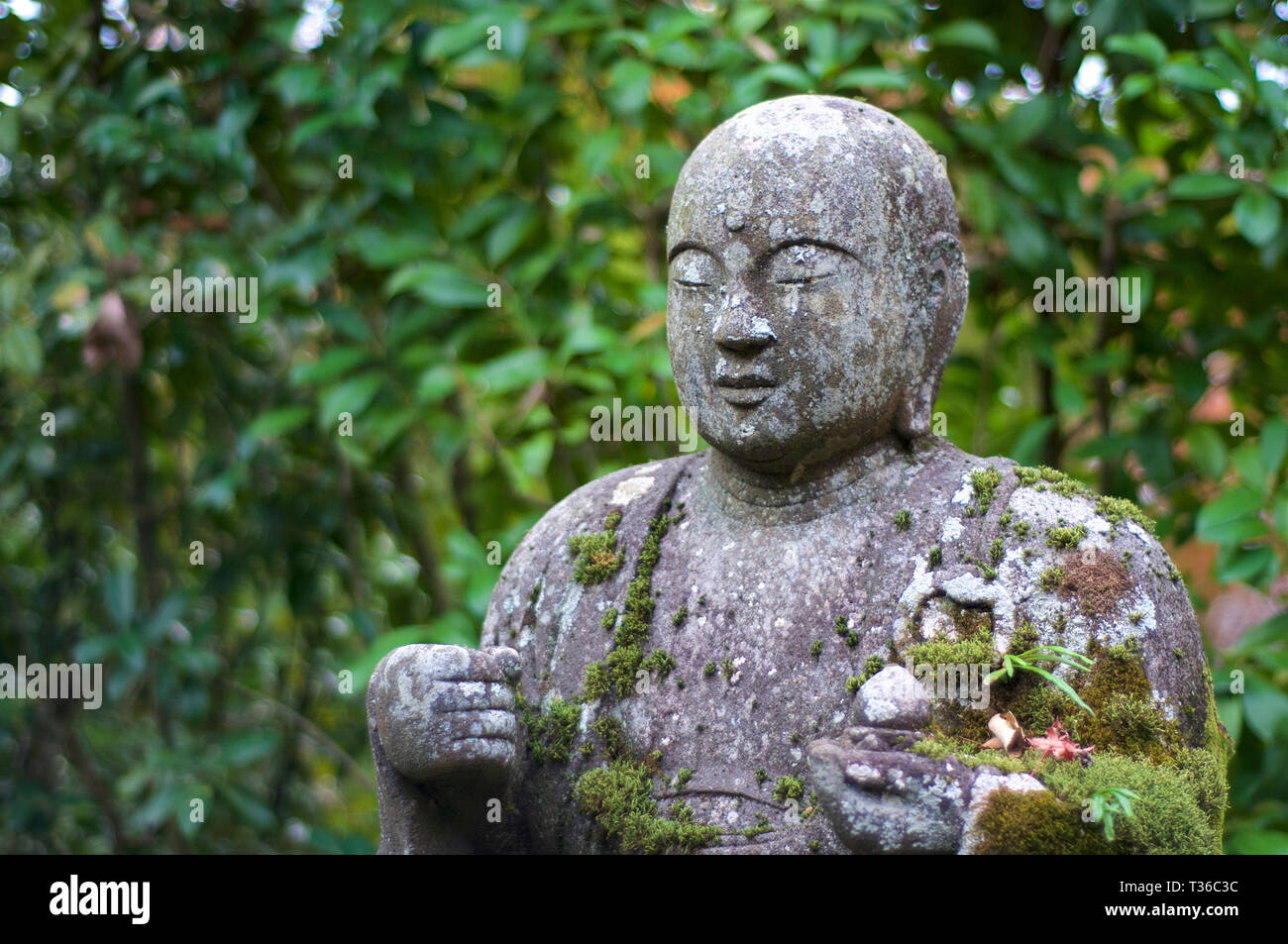 Kyoto eikando temple hi-res stock photography and images - Alamy