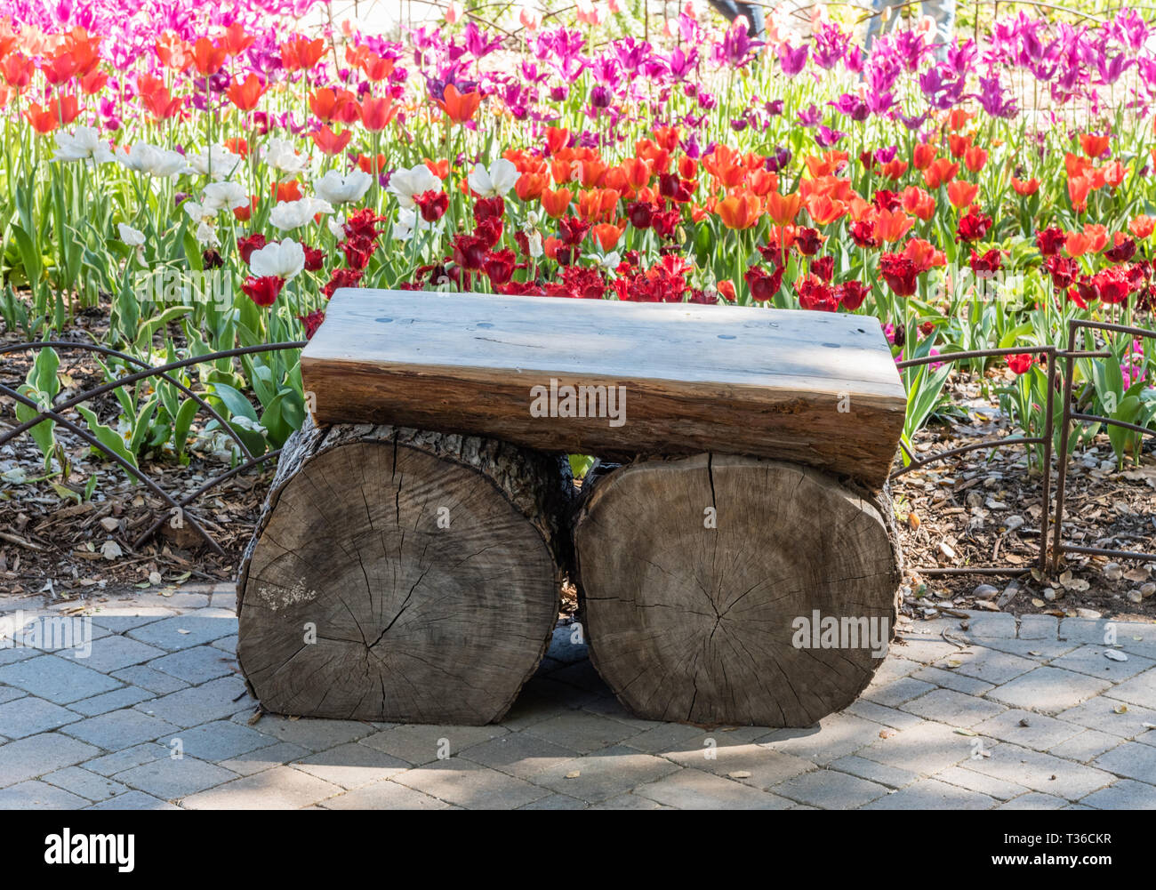 Improvised bench hi-res stock photography and images - Alamy