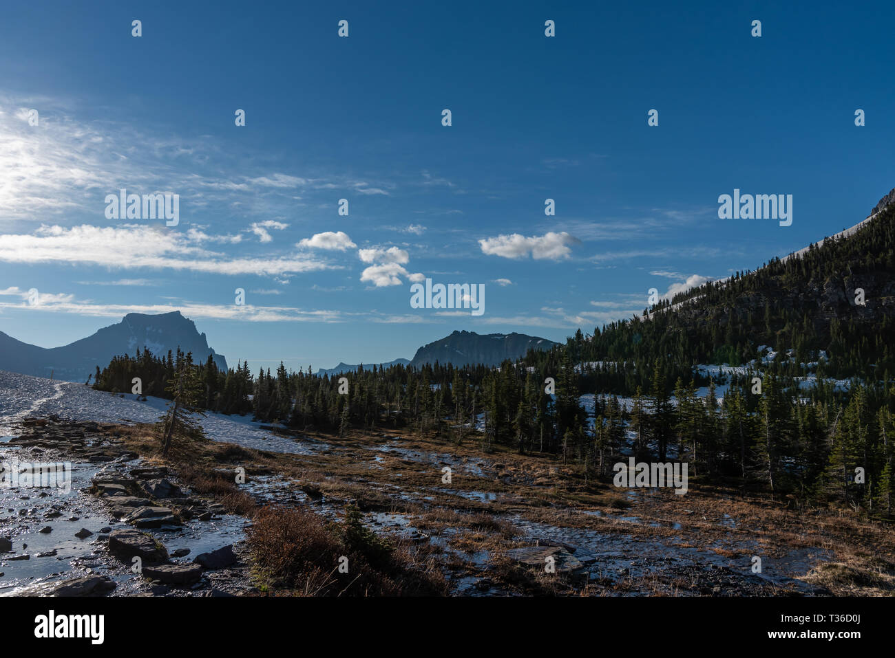 Late Spring Snow Melt at Logan Pass in Montana wilderness Stock Photo ...