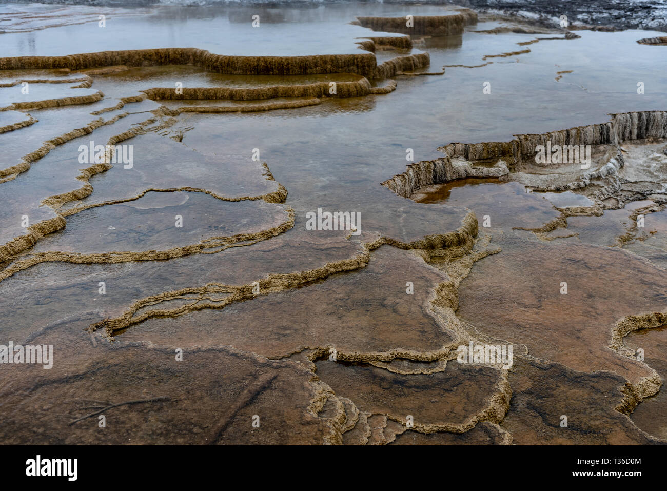Layers of Volcanic Rock Hold in Water in Yellowstone Stock Photo - Alamy