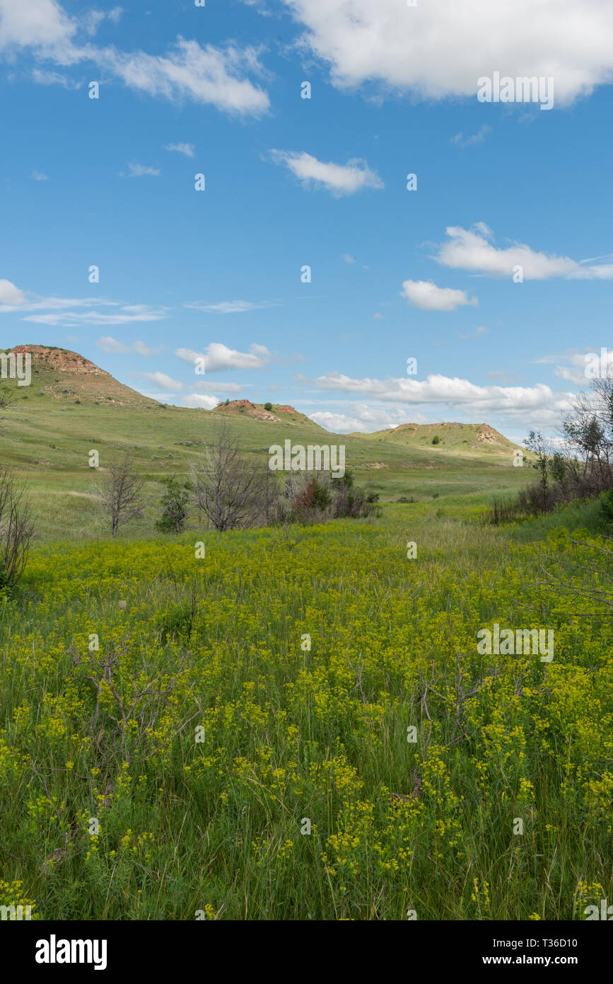 Theodore roosevelt national park exploration hi-res stock photography ...