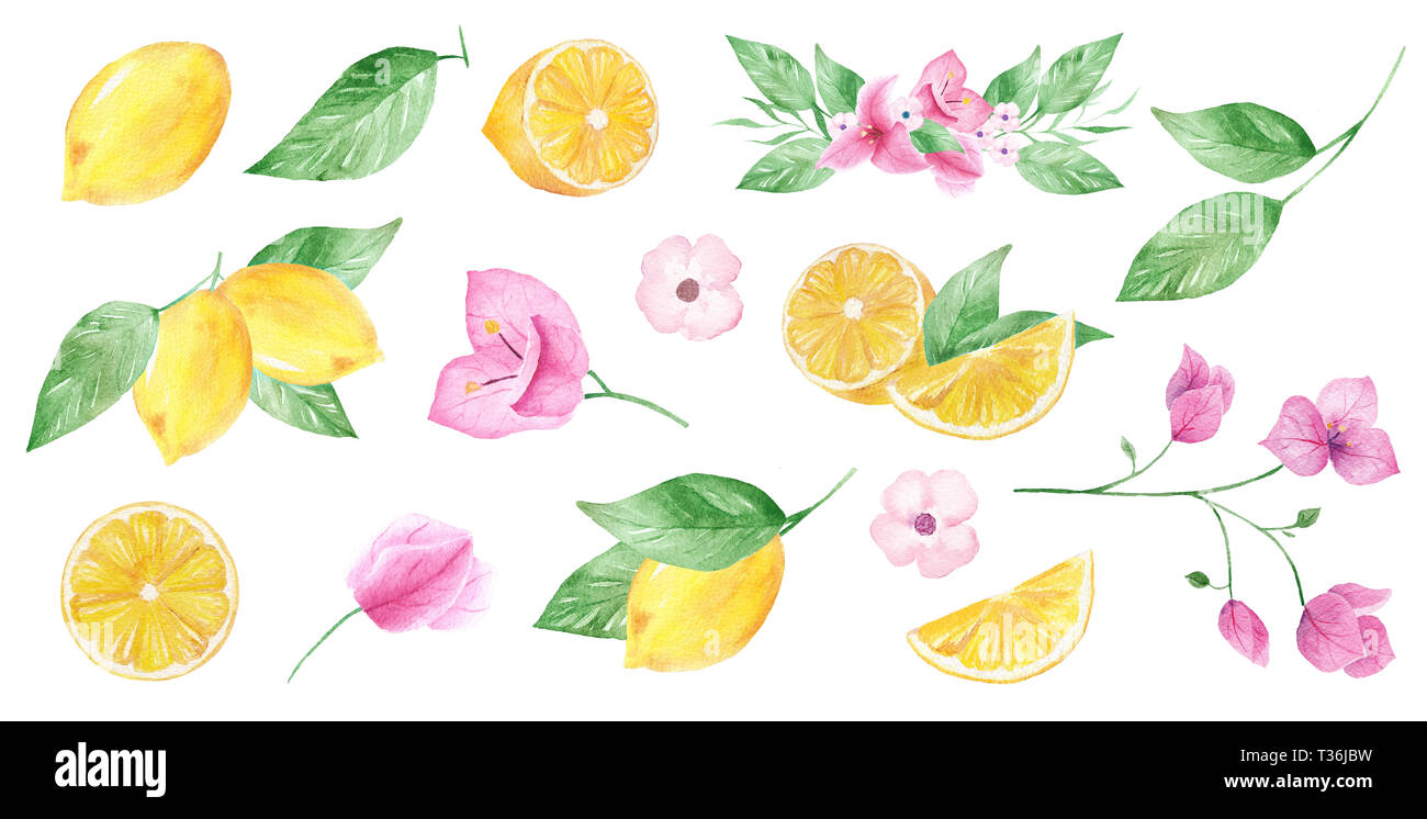 Pink Lemon Clip Art