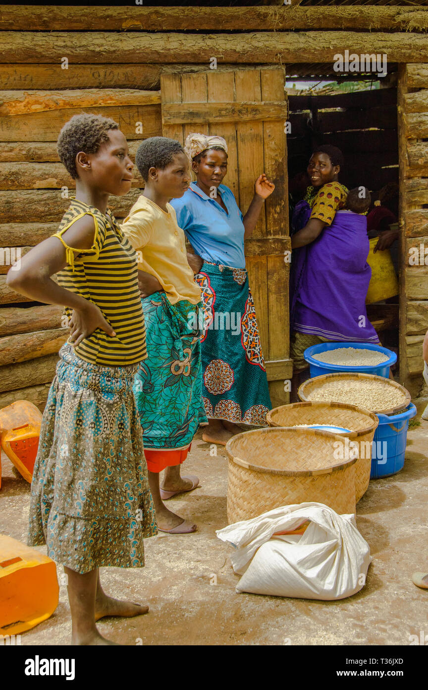 Maize milling hi-res stock photography and images - Alamy