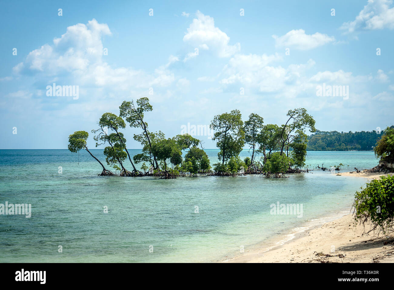 scene at laxmanpur beach, Neil Island, Andaman and Nicobar, India Stock ...