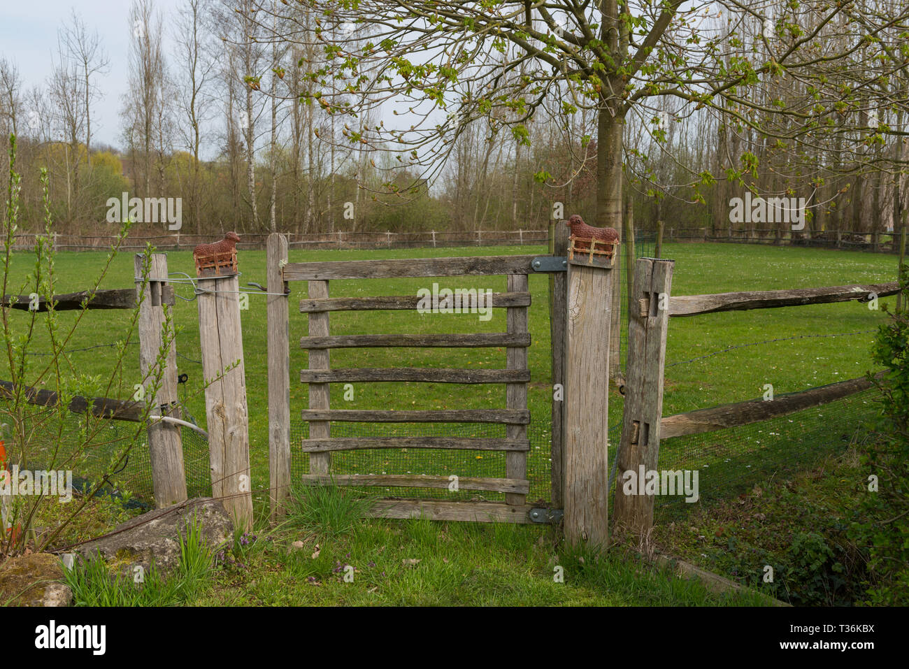 Wooden gate with decorations leading to field with grass Stock Photo ...