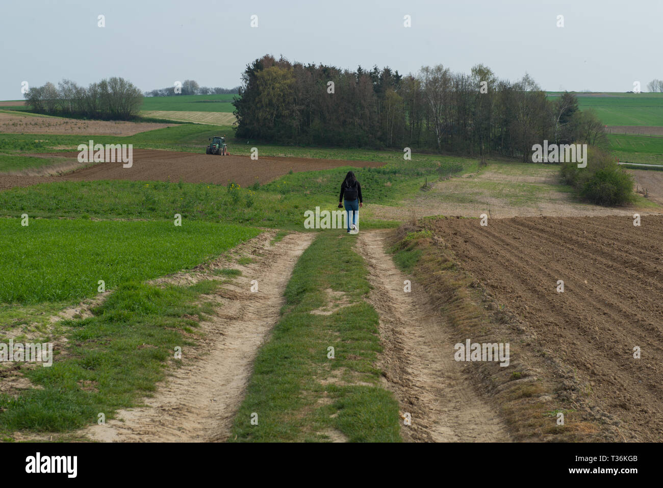 Walking tractor hi-res stock photography and images - Alamy