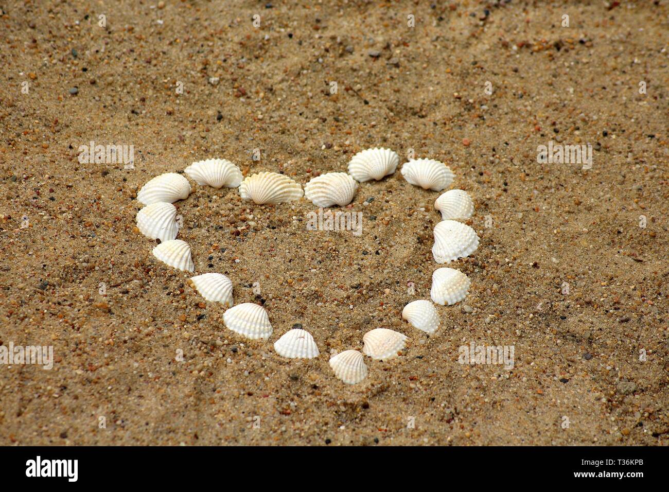 Shell heart hi-res stock photography and images - Alamy