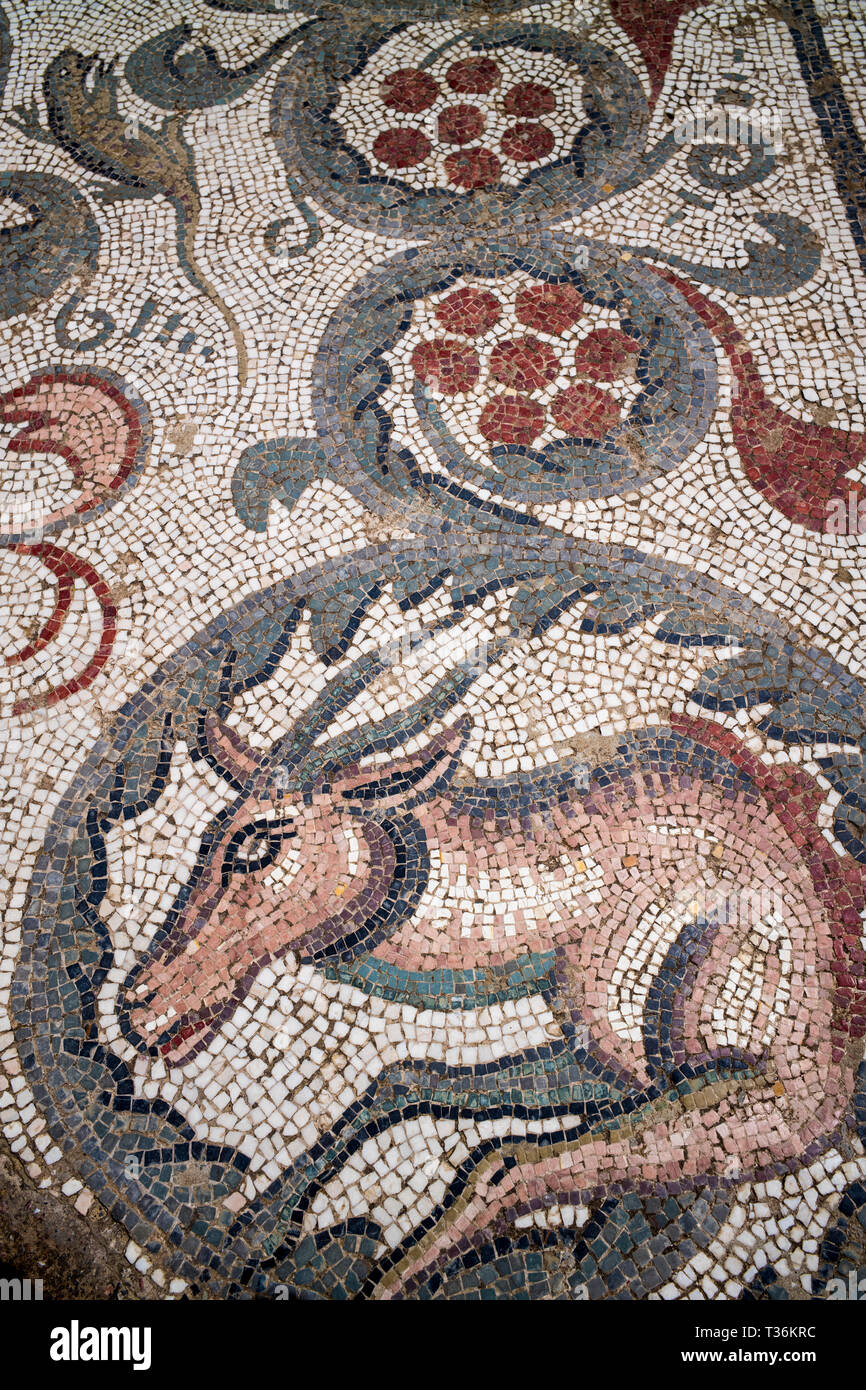 Famous mosaics and mosiac art of animals by Ovoid Portico at Roman ...