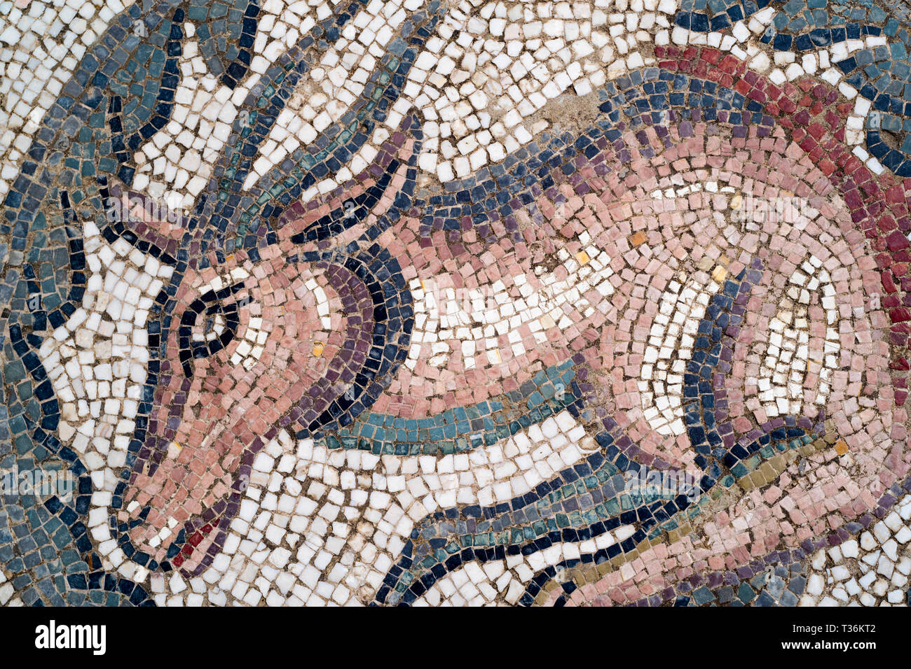 Famous mosaics and mosiac art of animals by Ovoid Portico at Roman ...