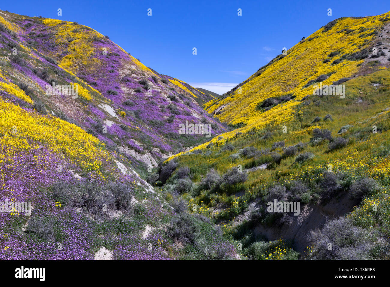 Temblor range san andreas fault spring hi-res stock photography and ...