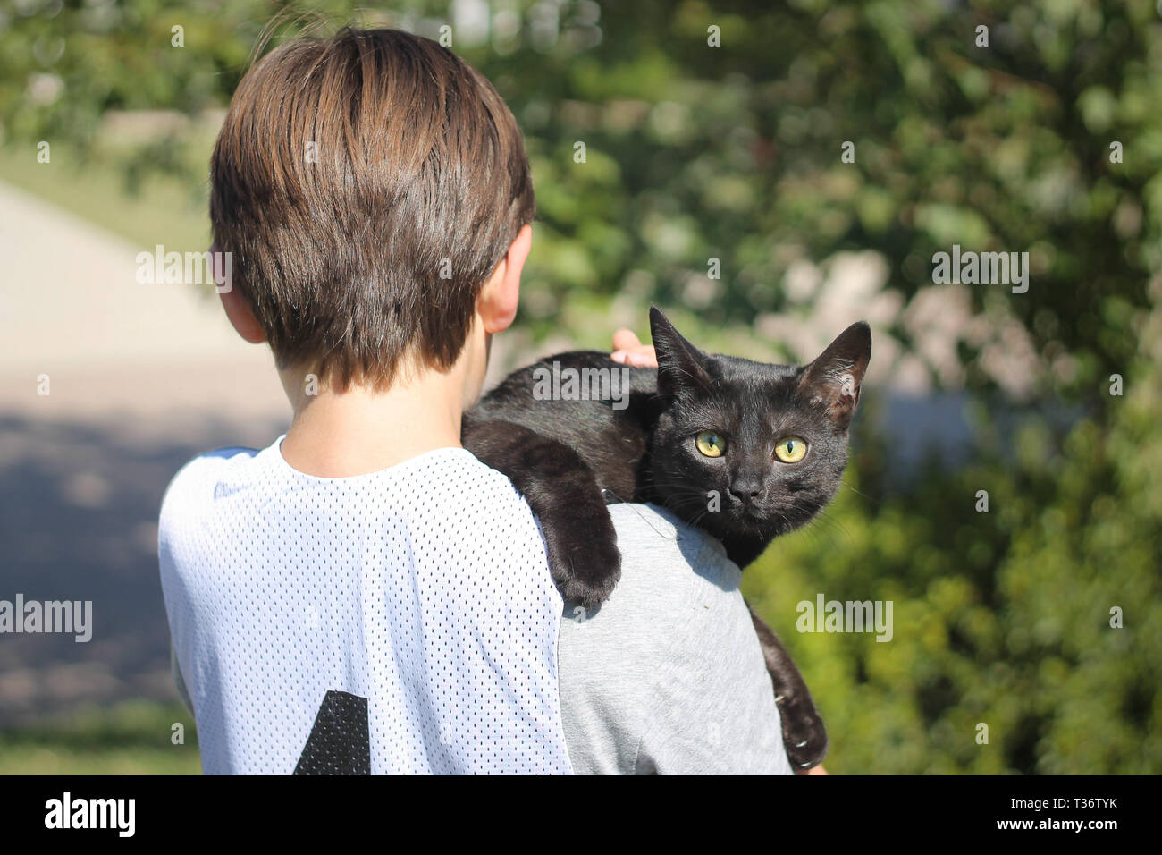 A young boy chooses a black cat to adopt from a rescue organization ...