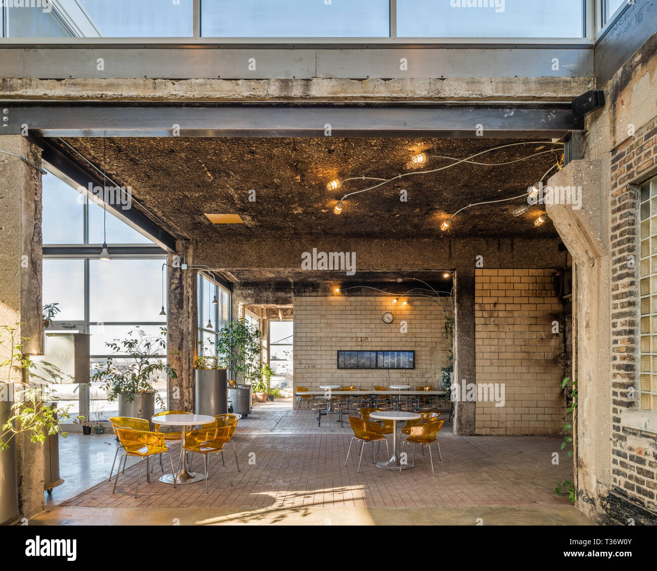 Plant Chicago, former meatpacking facility converted into a vertical ...