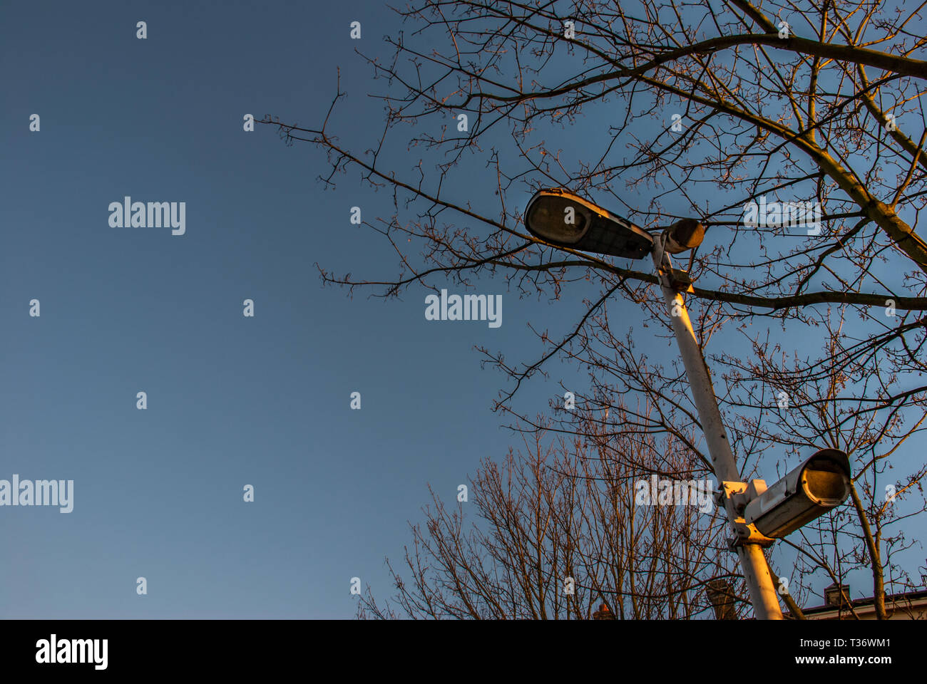 Modern CCTV on the background wall, trees and sky The concept of ...