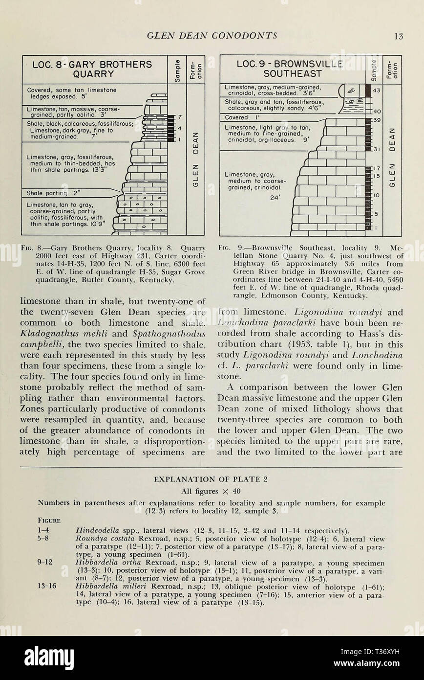 Chester formation hi-res stock photography and images - Alamy