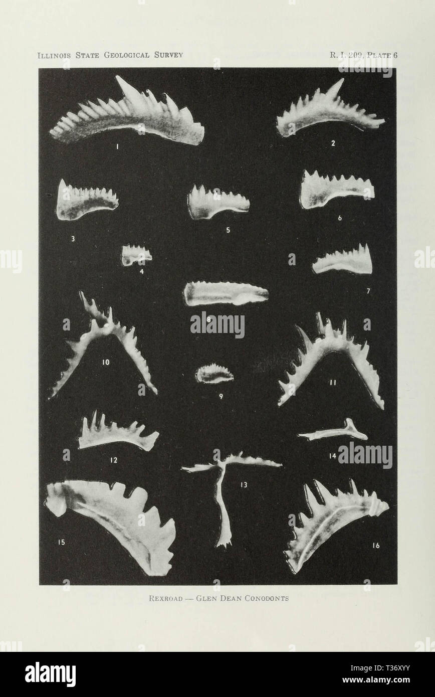 Chester formation hi-res stock photography and images - Alamy