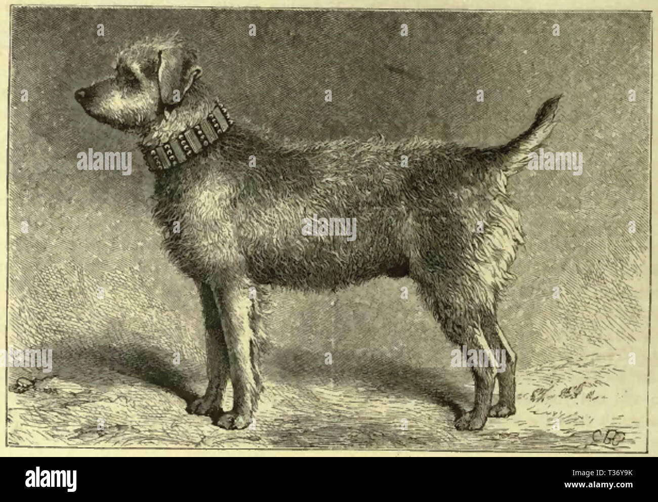 Old bingley hi-res stock photography and images - Alamy