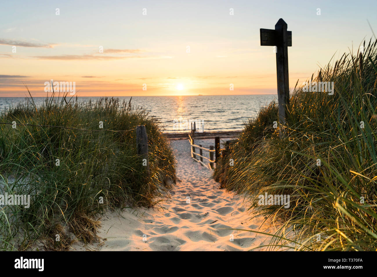 Weststrand prerow hi-res stock photography and images - Alamy