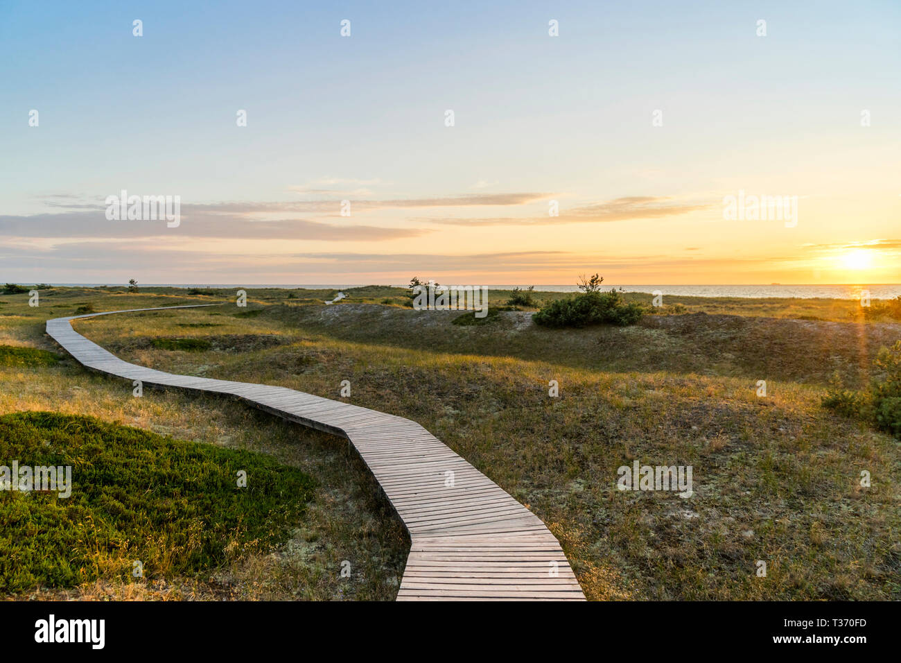 West Beach of Prerow Stock Photo - Alamy