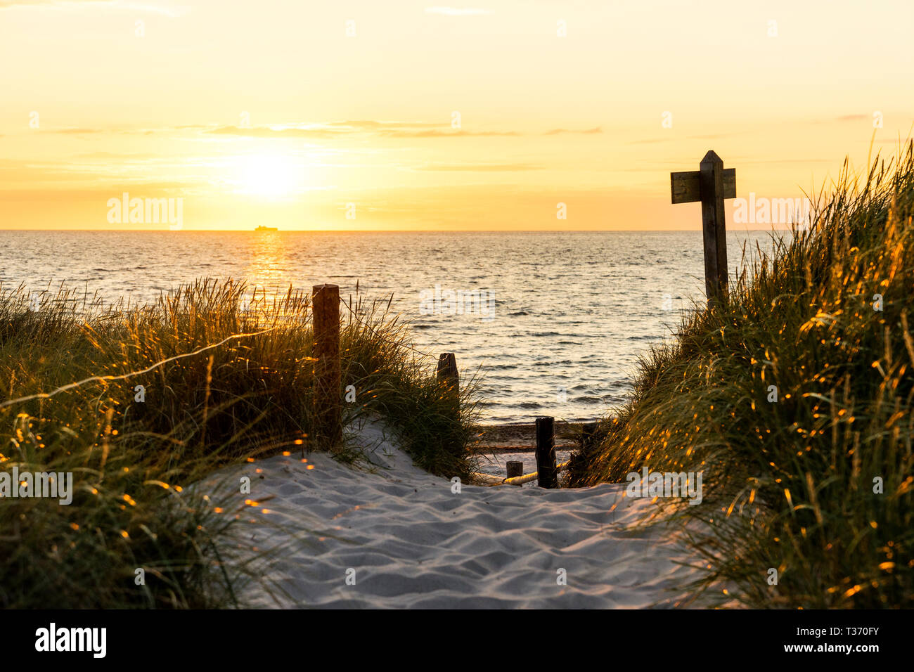 West Beach of Prerow Stock Photo - Alamy