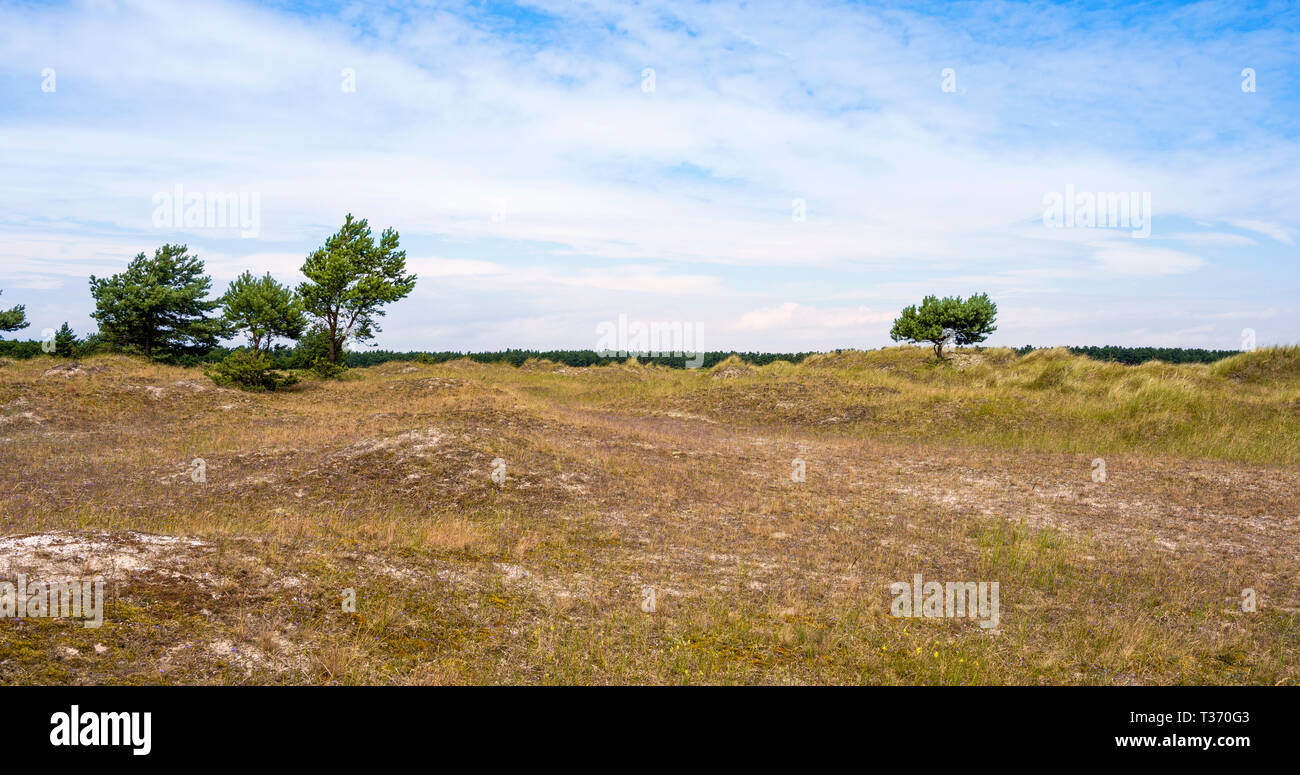 West Beach of Prerow Stock Photo - Alamy
