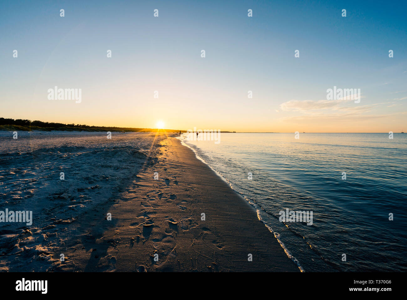 West Beach of Prerow Stock Photo - Alamy
