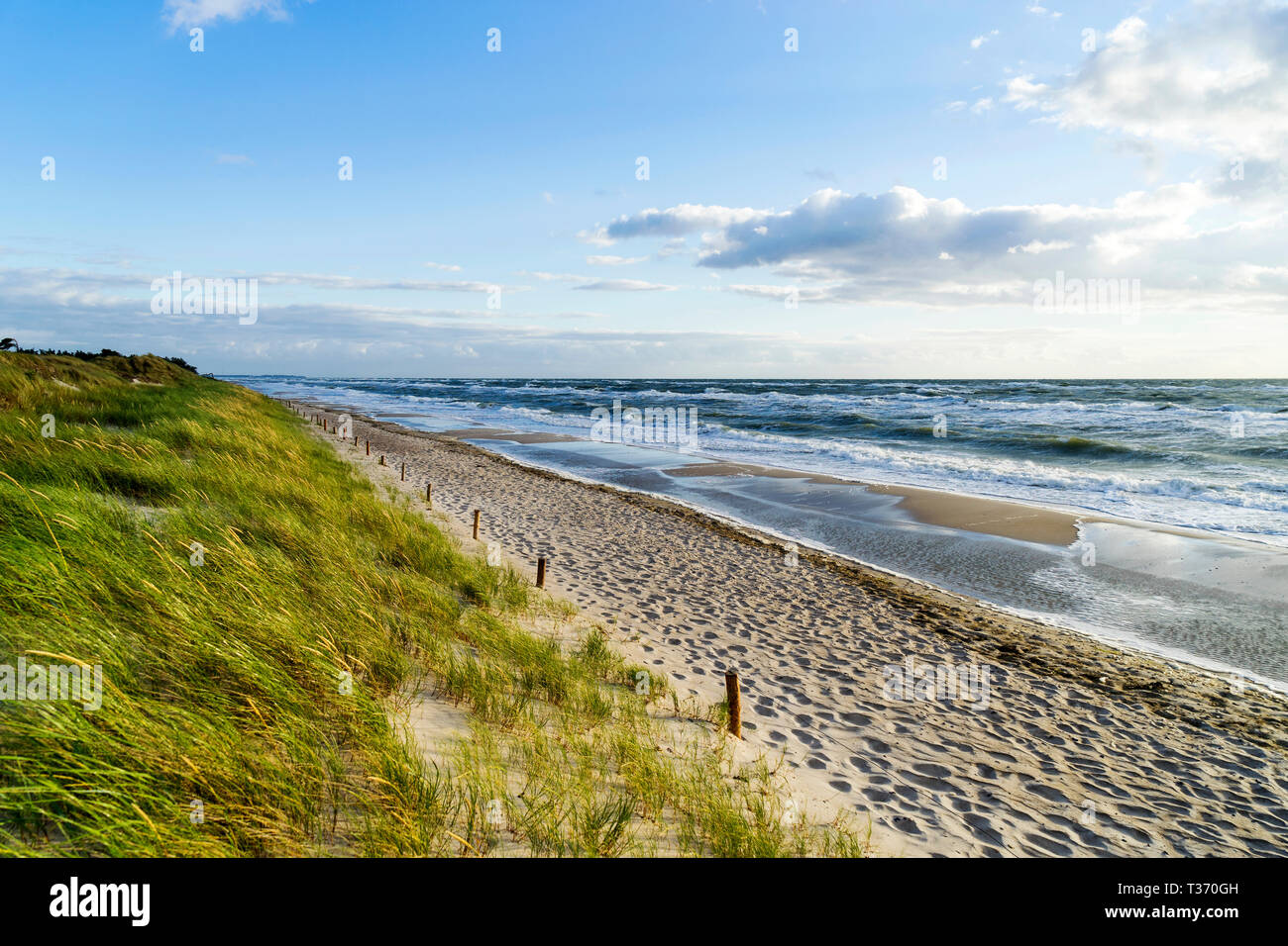 West beach of Prerow and lighthouse Stock Photo - Alamy