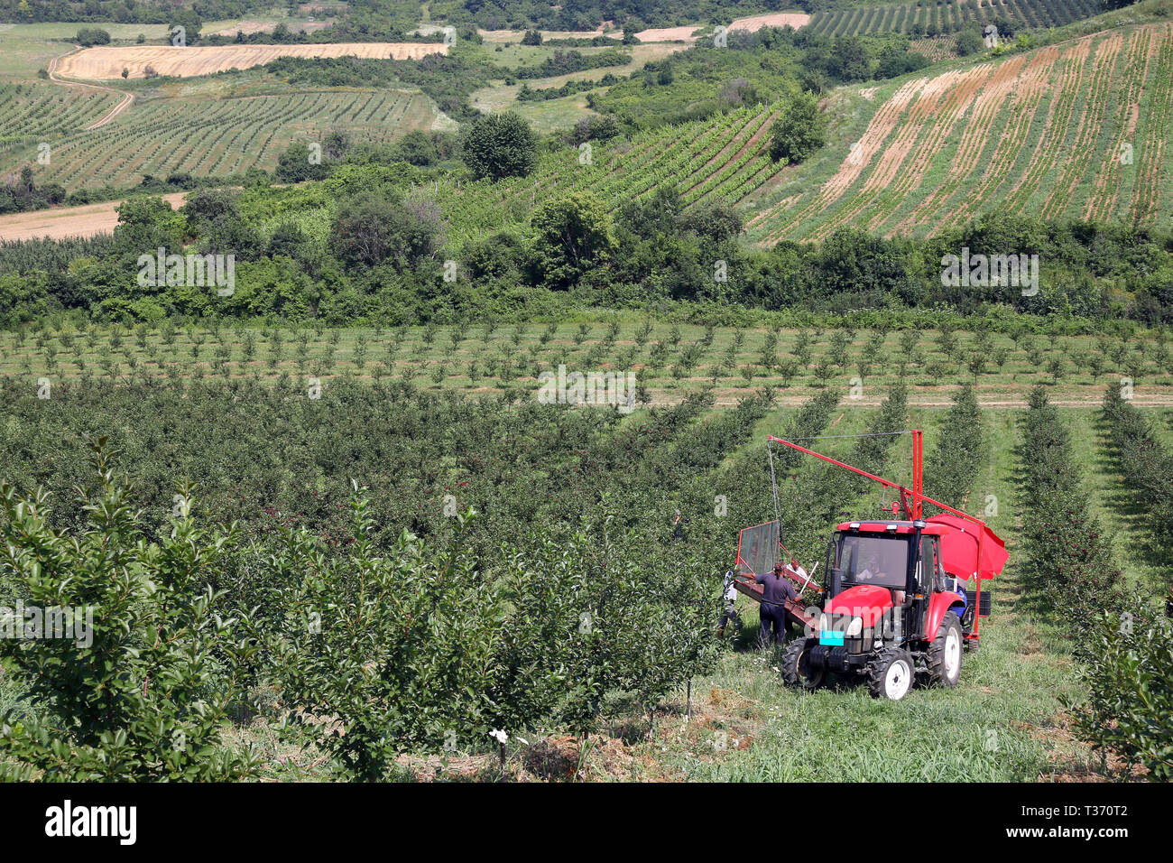 Cherry picker farm hi-res stock photography and images - Alamy
