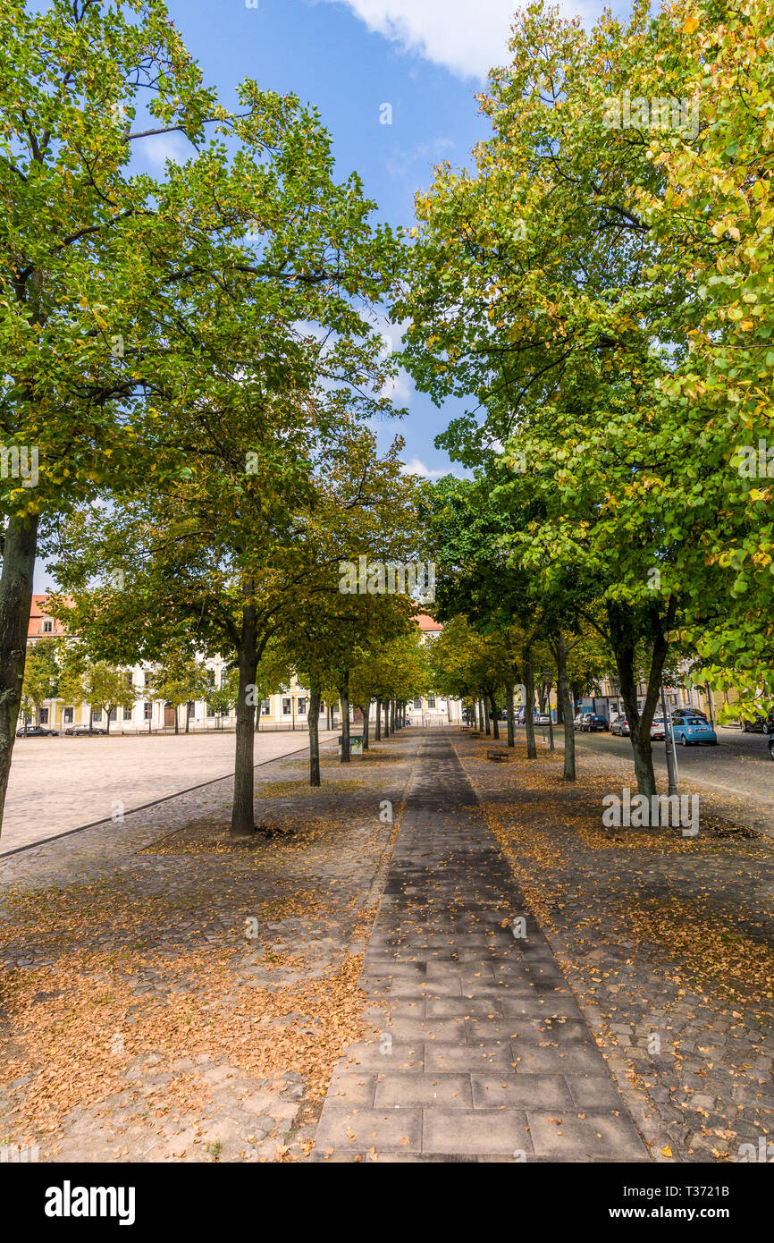 Cathedral Square in Magdeburg, Germany Stock Photo - Alamy