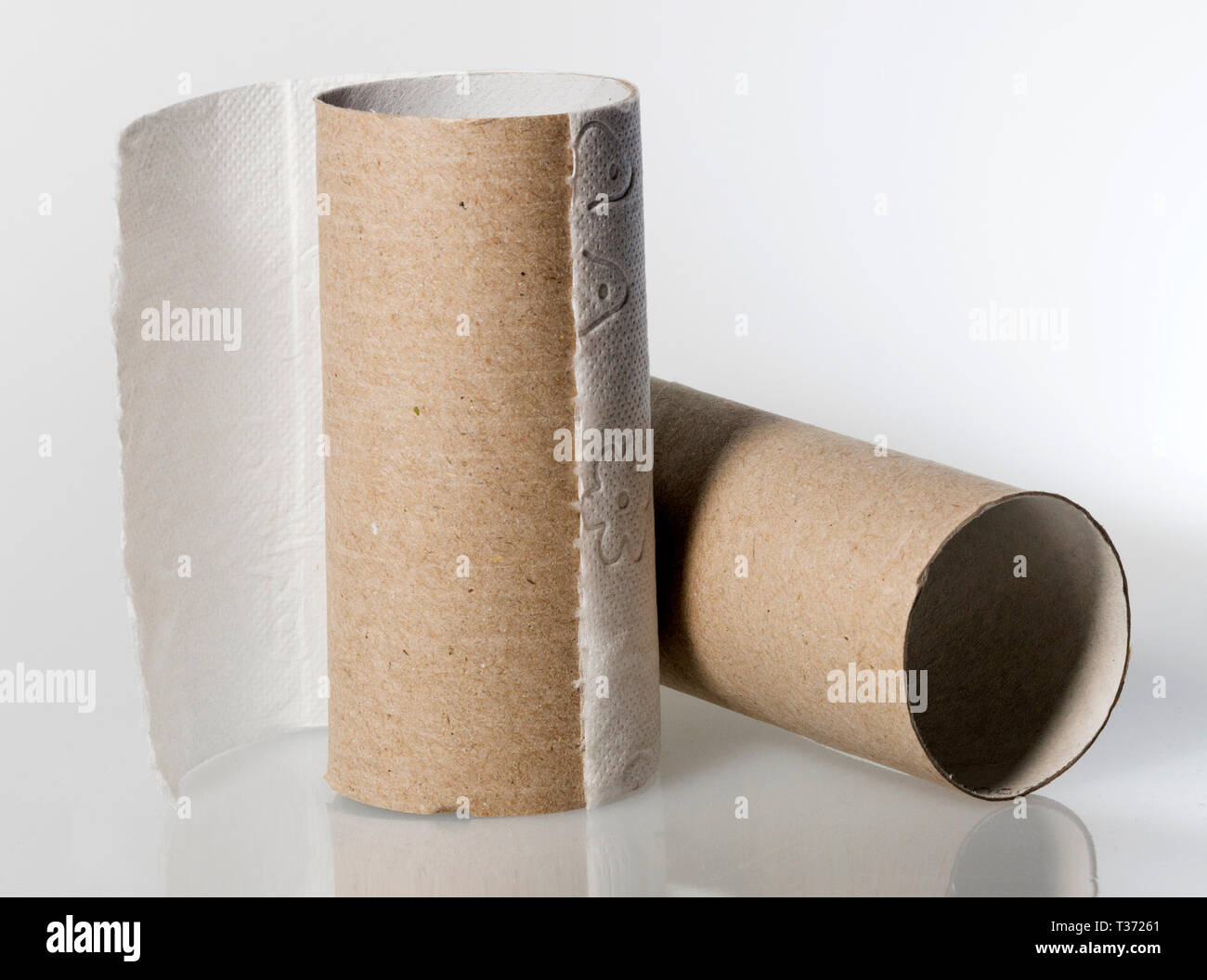 Empty loo roll Stock Photo - Alamy