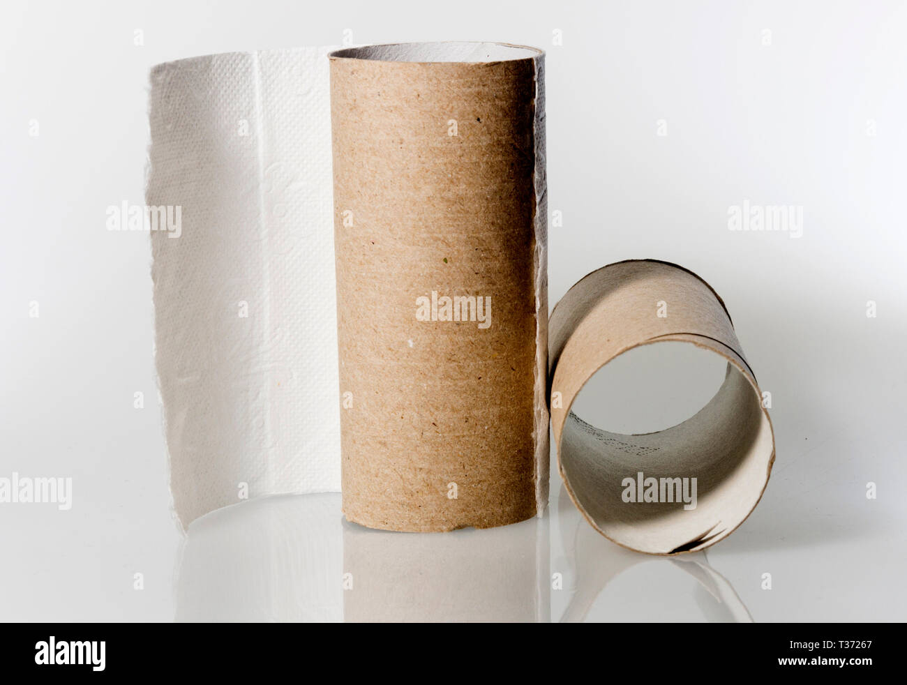 Empty loo roll Stock Photo - Alamy