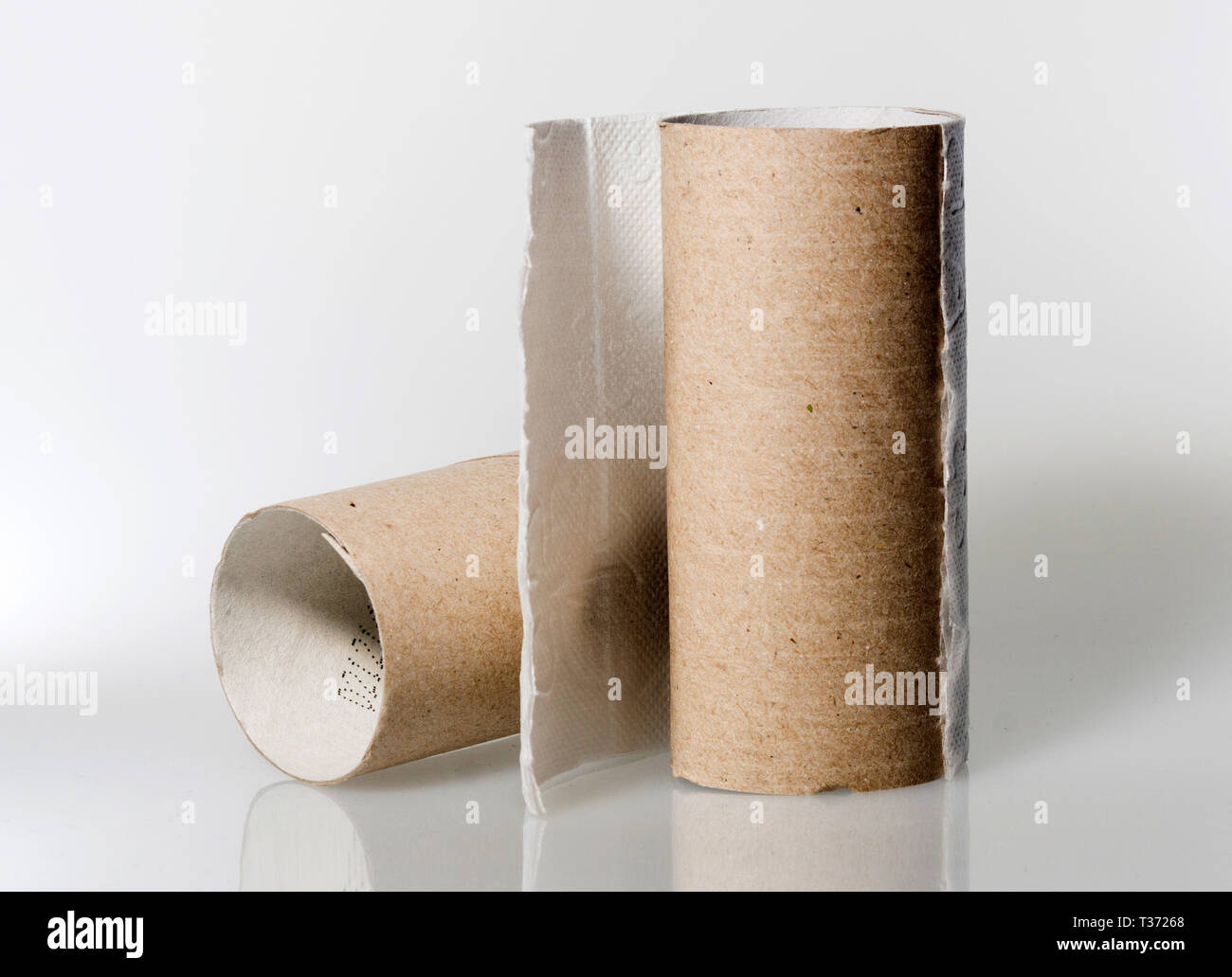 Empty loo roll Stock Photo - Alamy