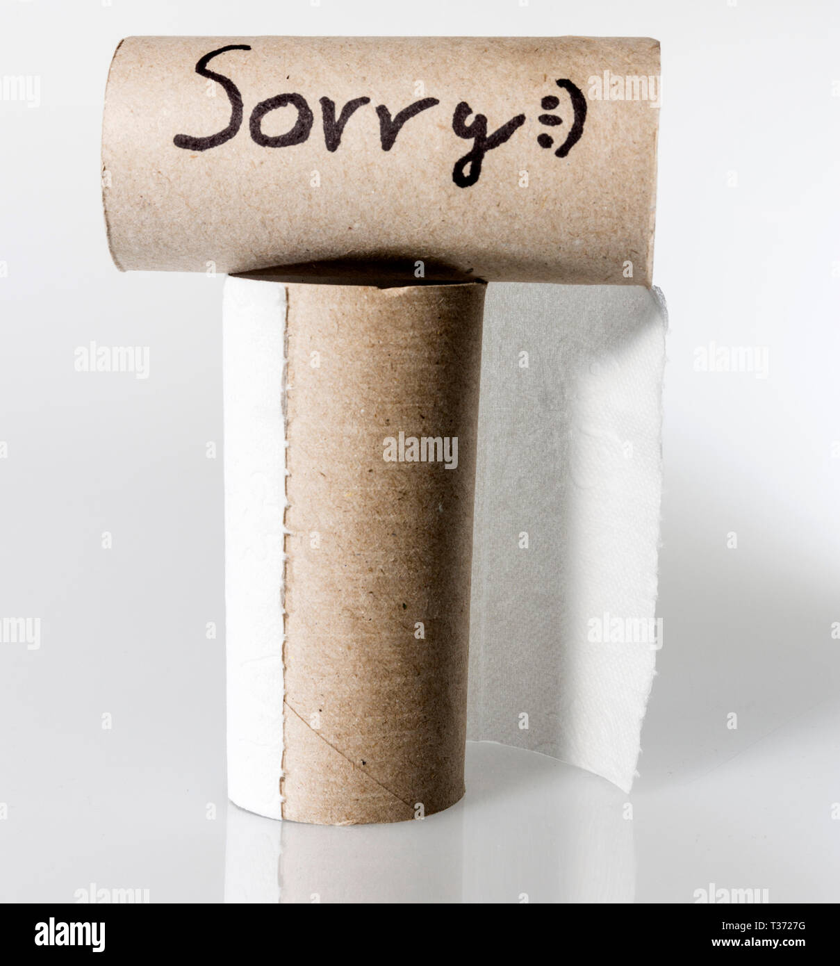 Empty loo roll Stock Photo - Alamy